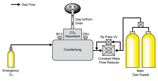 Cognizant Of Aquatic Respiration And Under On Respiratory Devices ...