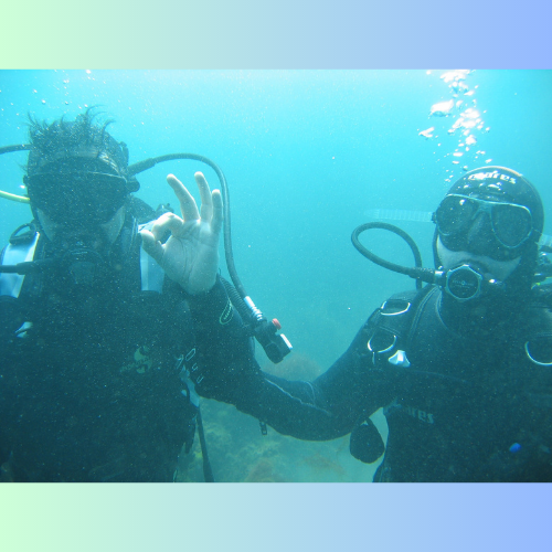 Lines And Markers, Used For Under Aquatic in SCUBA Diving - Diving ...